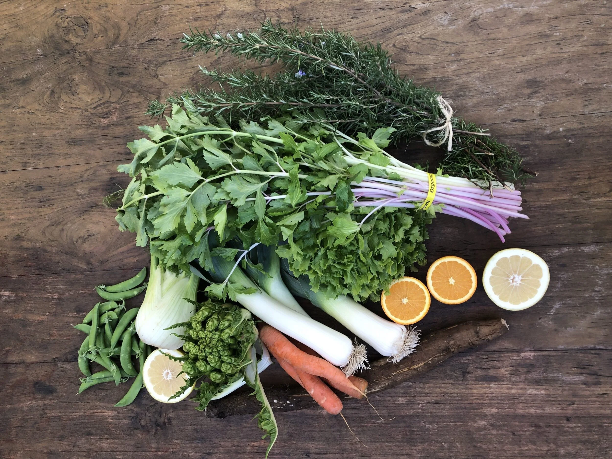 Roasted Spigarello Pesto | Earth Matterz