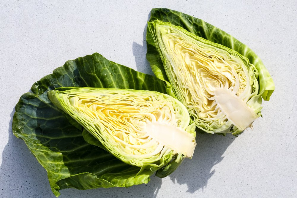 Conehead Cabbage Salad Recipe | Earth Matterz