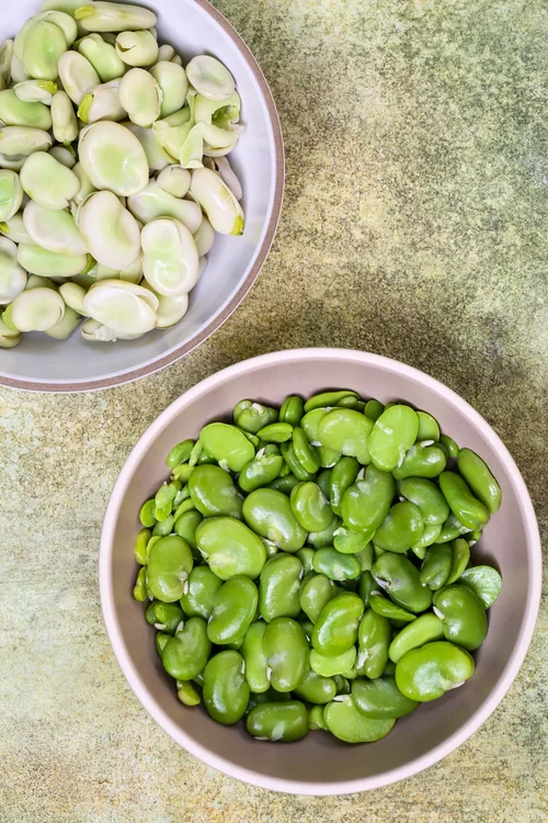 How to Prepare Fava Beans | Earth Matterz