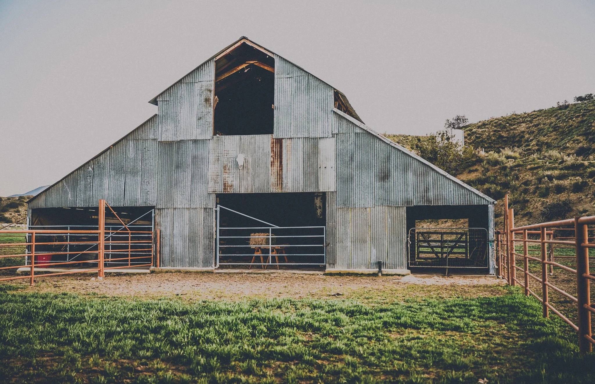 THE RANCH — LEEF Brands