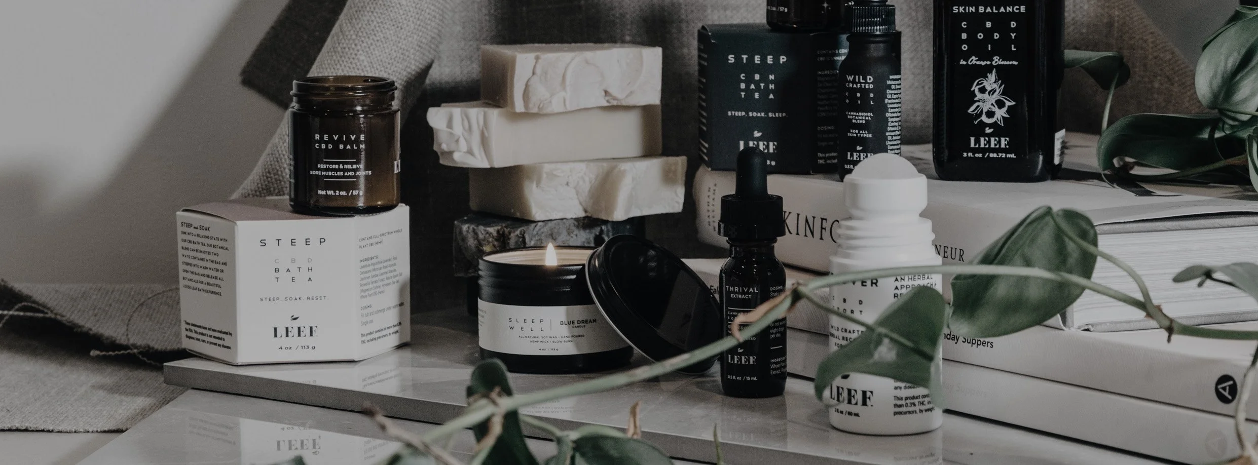 LEEF LABS — LEEF Brands