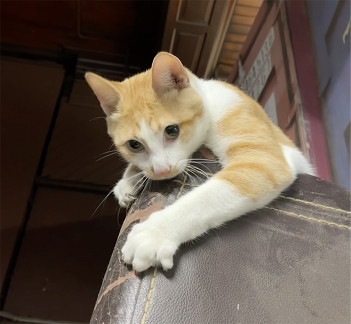 About — Infinity Productions