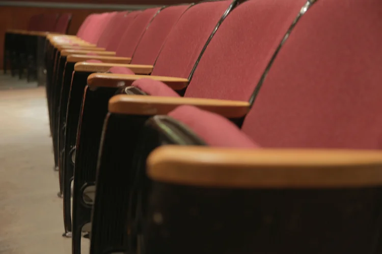 The Callicoon Theater