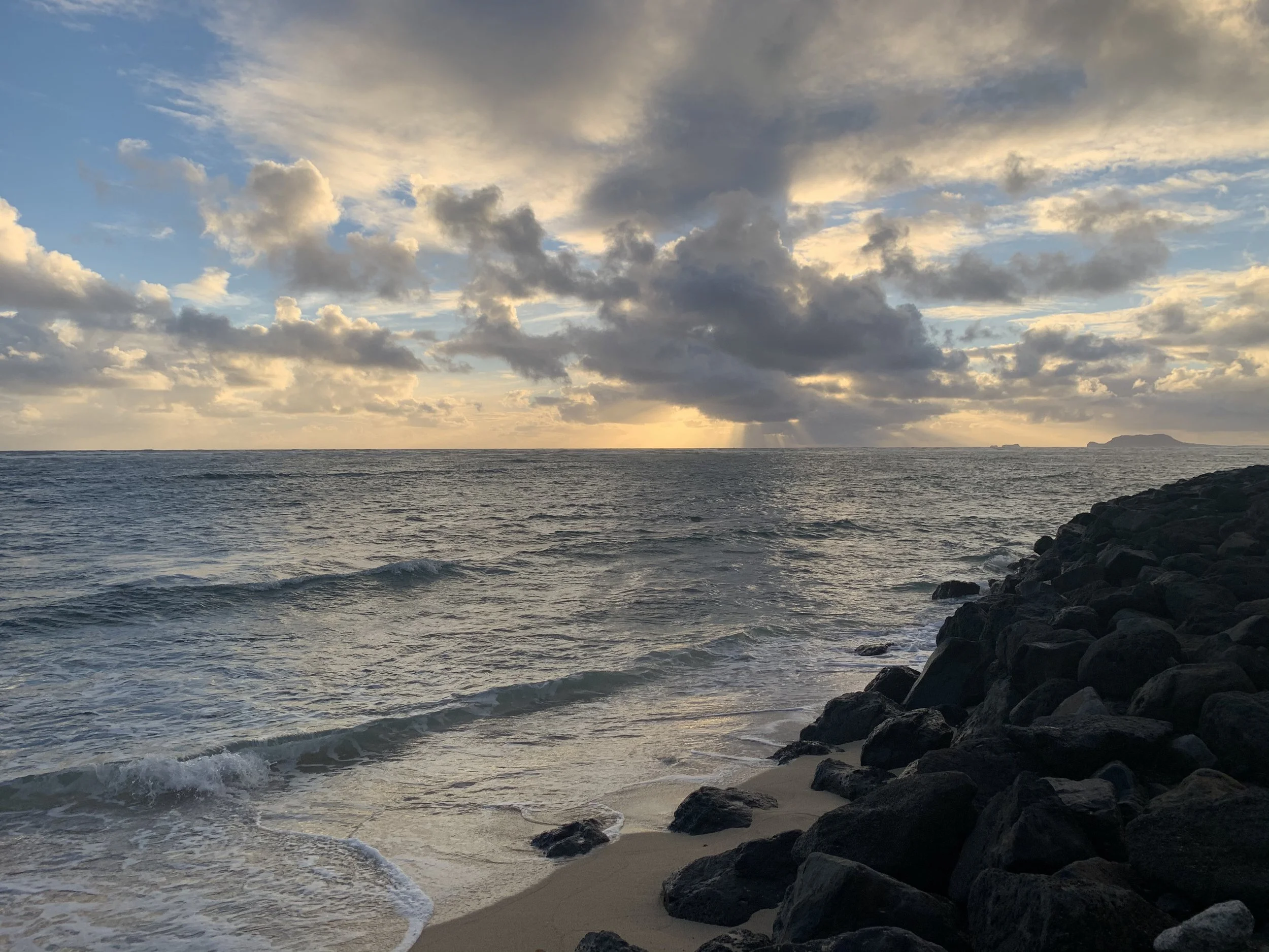 Why I’m Hiring A CEO — Christine Carrillo