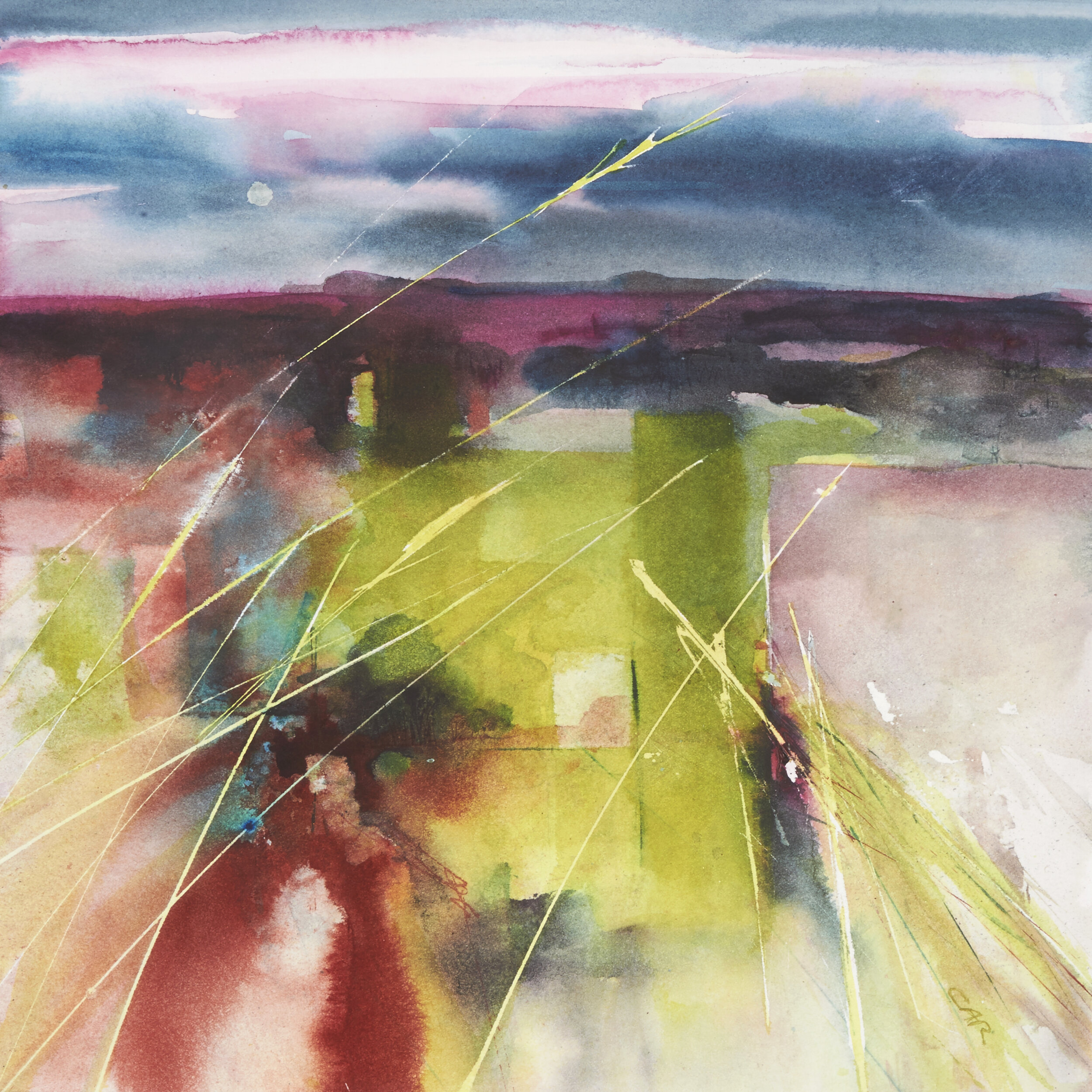 Watercolour — Carole Robson