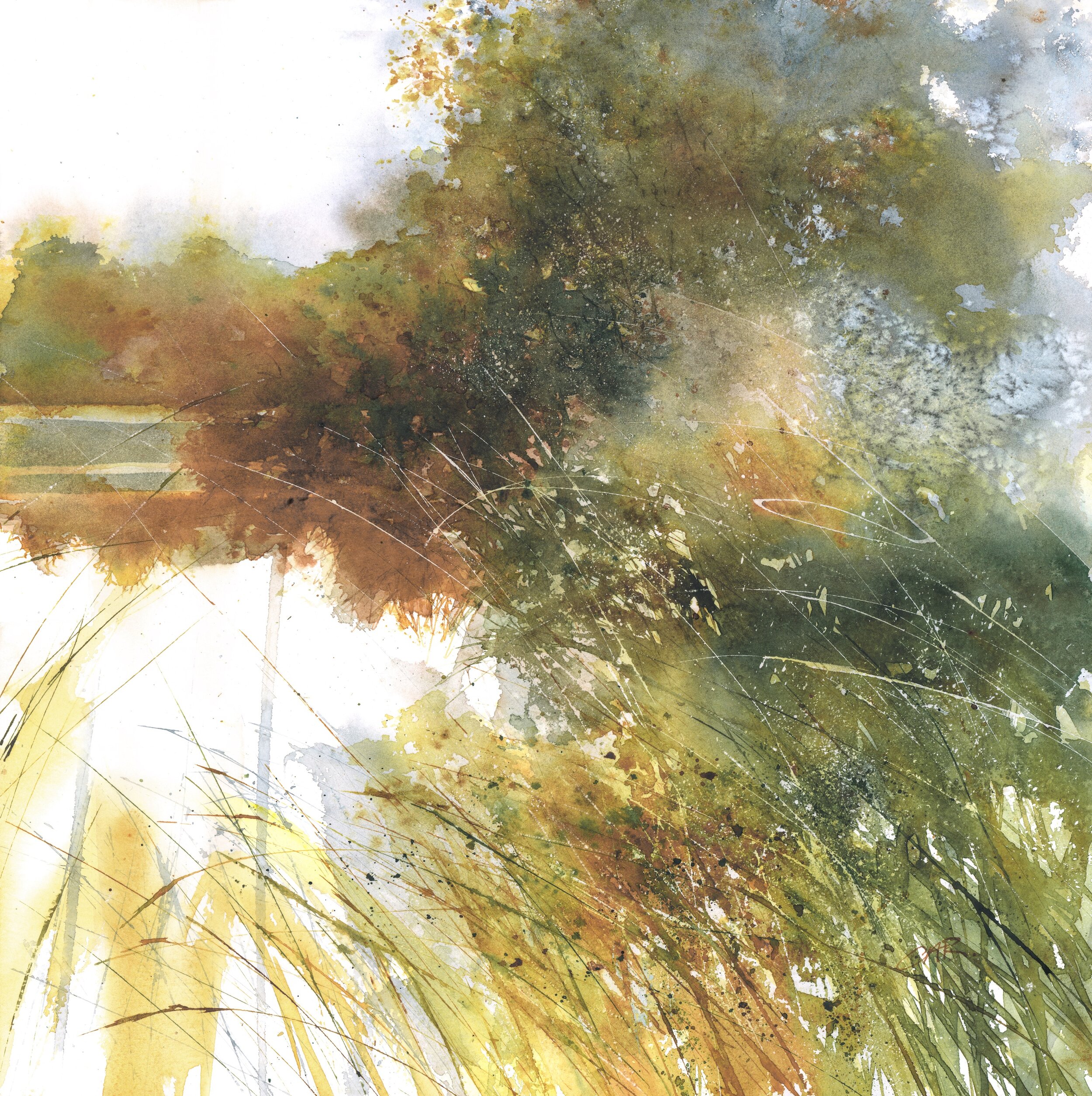 Watercolour — Carole Robson