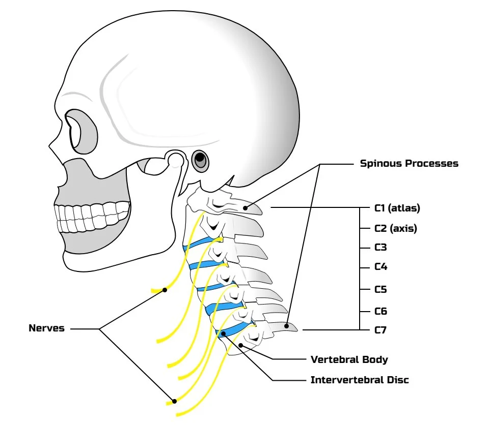 Neck Pain — Physiotherapy London Ontario