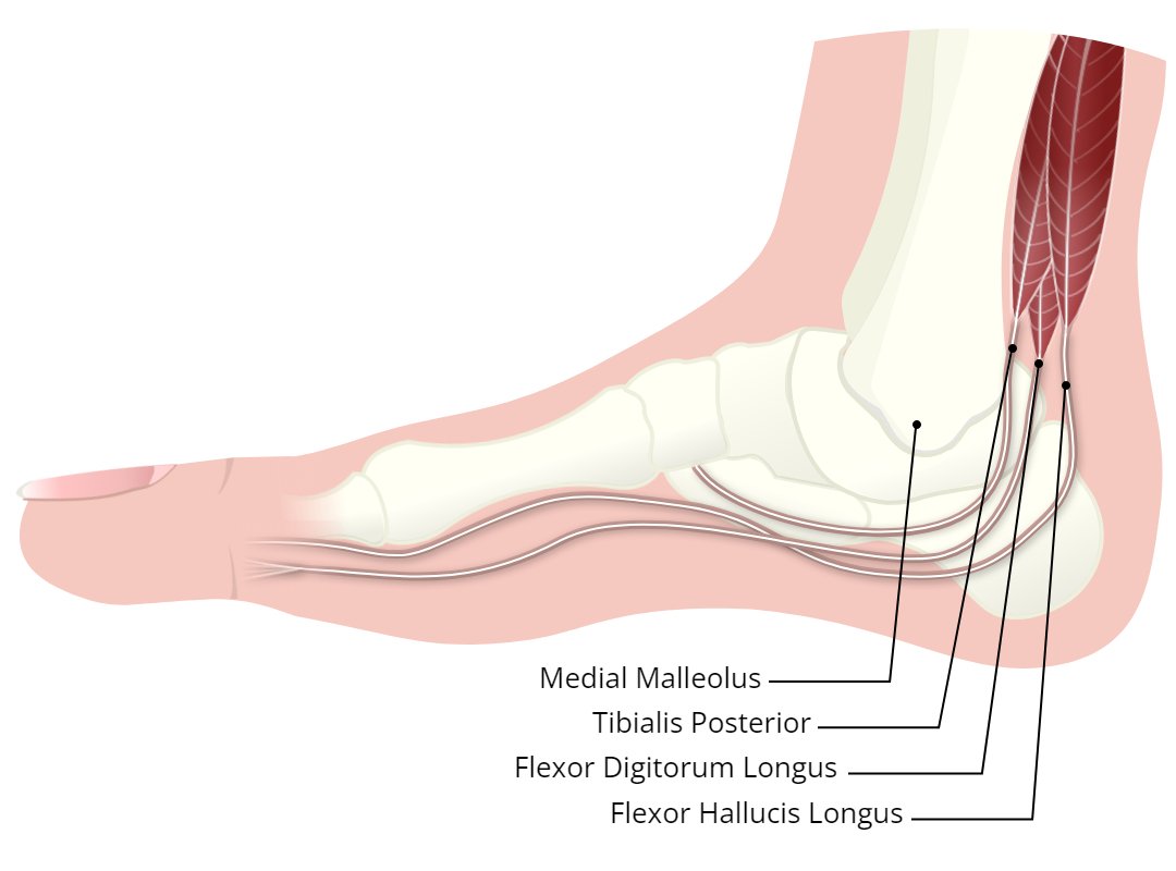 Ankle Pain On Inside Of Foot Factory Sale | emergencydentistry.com
