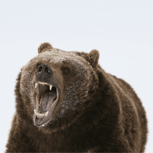 What to do with a Shifted Spine — Physiotherapy London Ontario