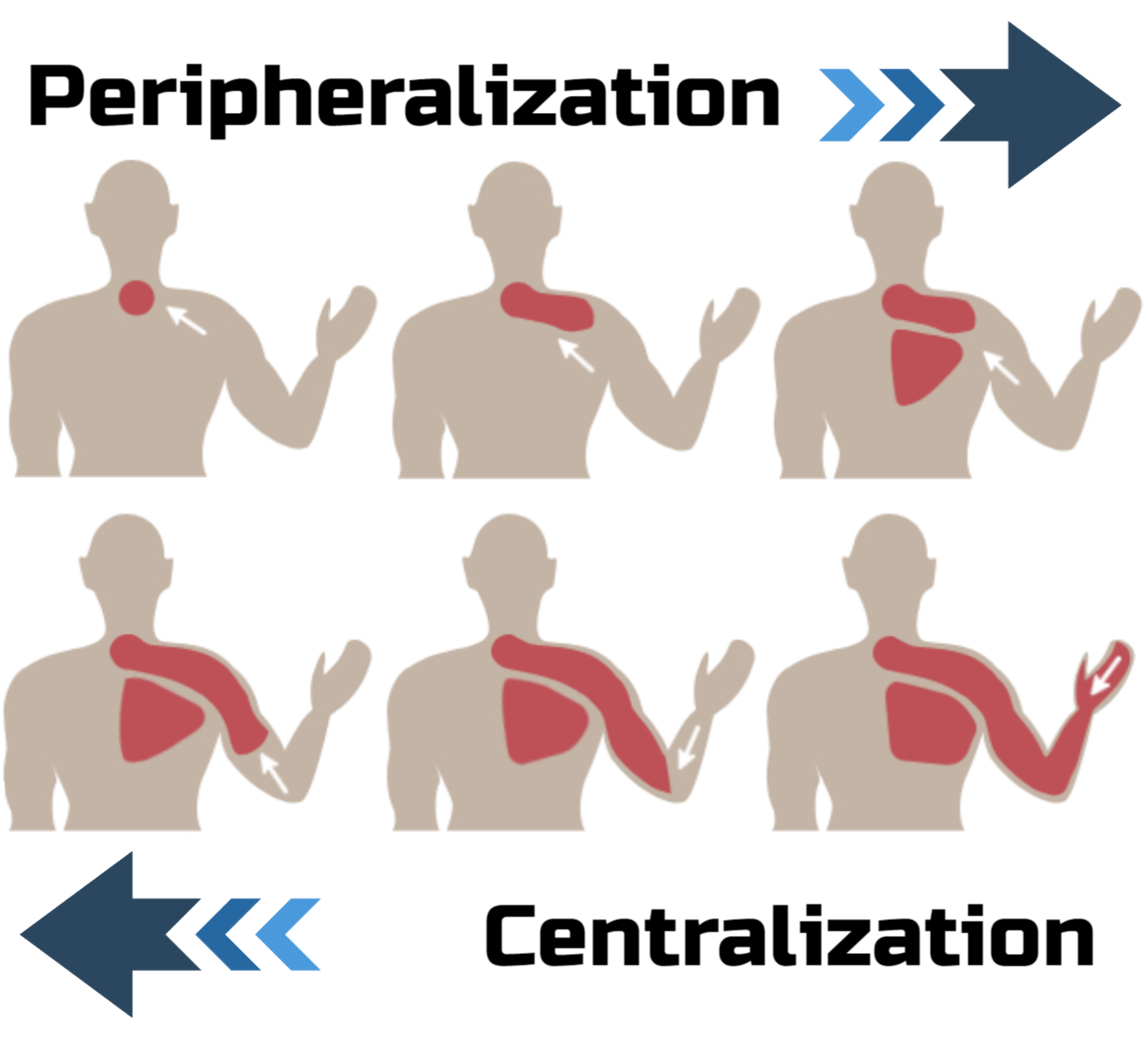 Centralization + Peripheralization — Physiotherapy London Ontario