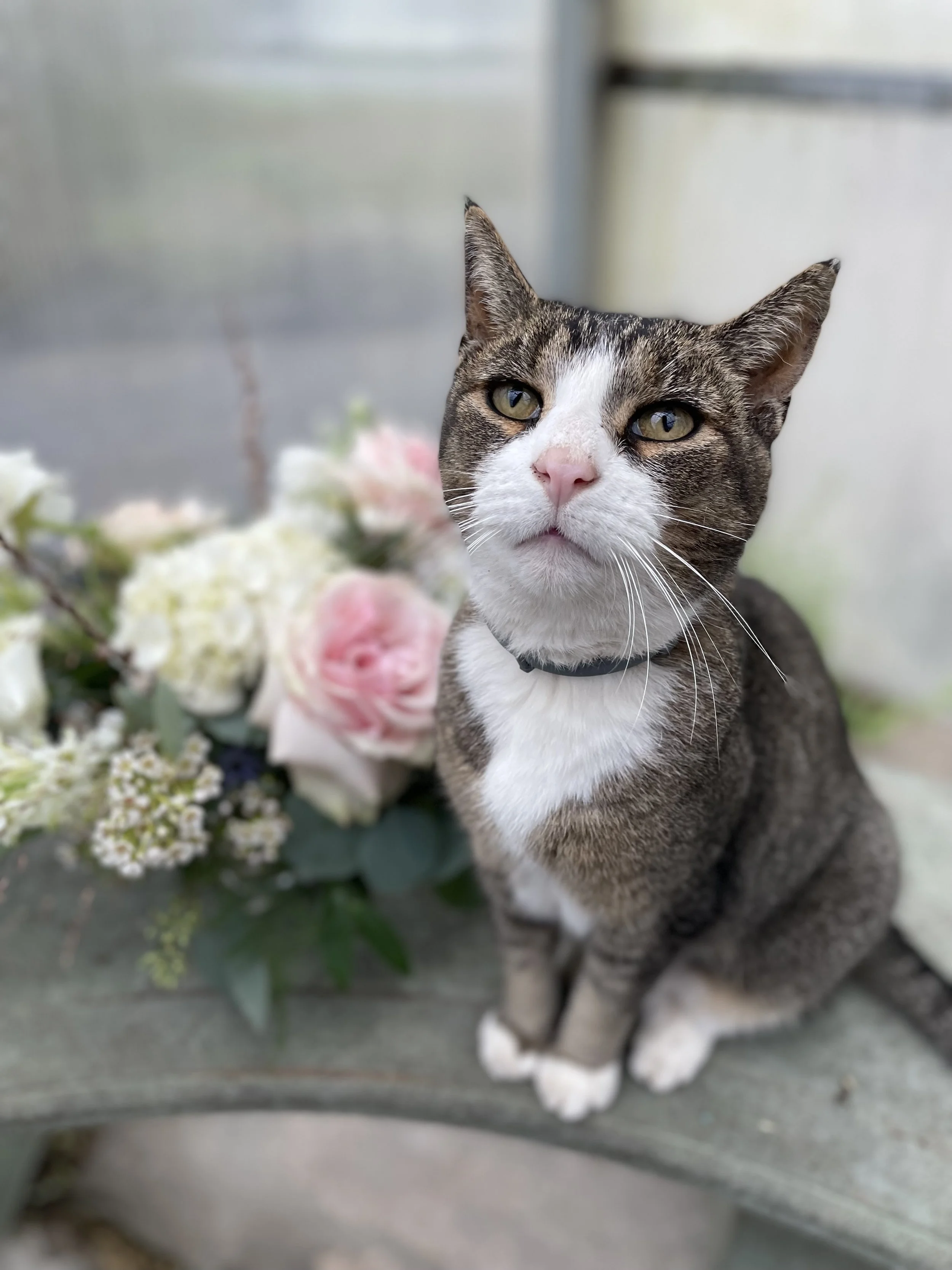 ABOUT — SPRUCE RIDGE