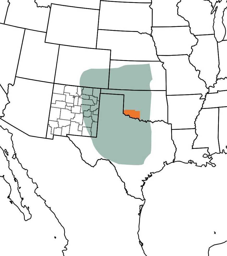 Comanche | Land Acknowledgment Toolkit — NMAHC