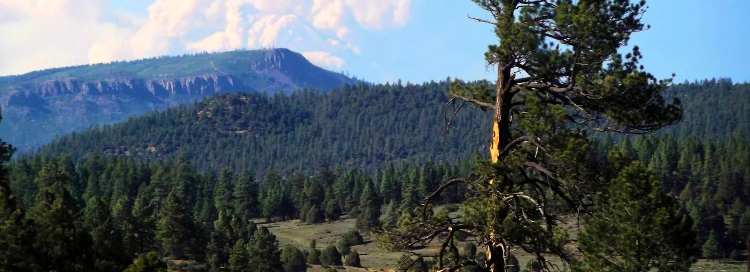 Jicarilla Apache Tribe | Land Acknowledgment Toolkit — NMAHC