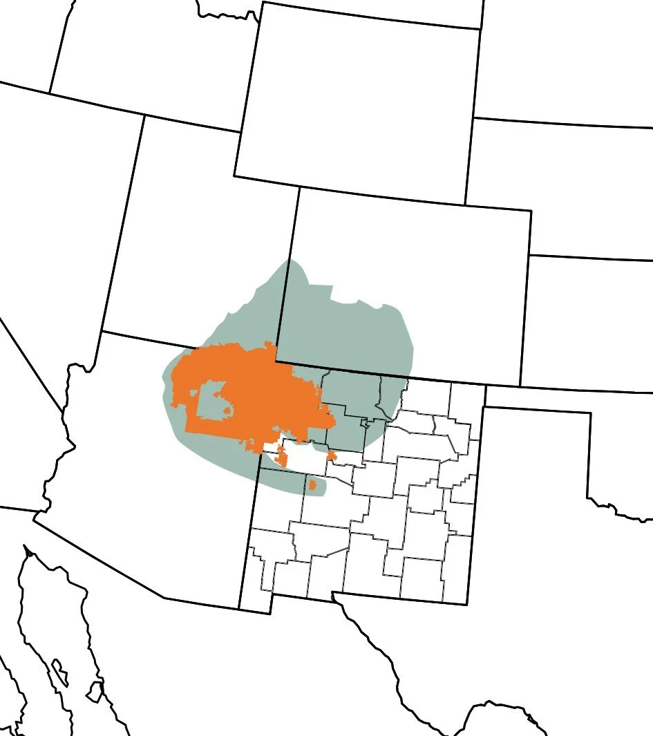 Navajo Nation | Land Acknowledgment Toolkit — NMAHC