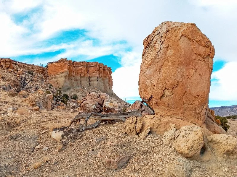 Alamo Chapter of Navajo Nation | Land Acknowledgment Toolkit — NMAHC
