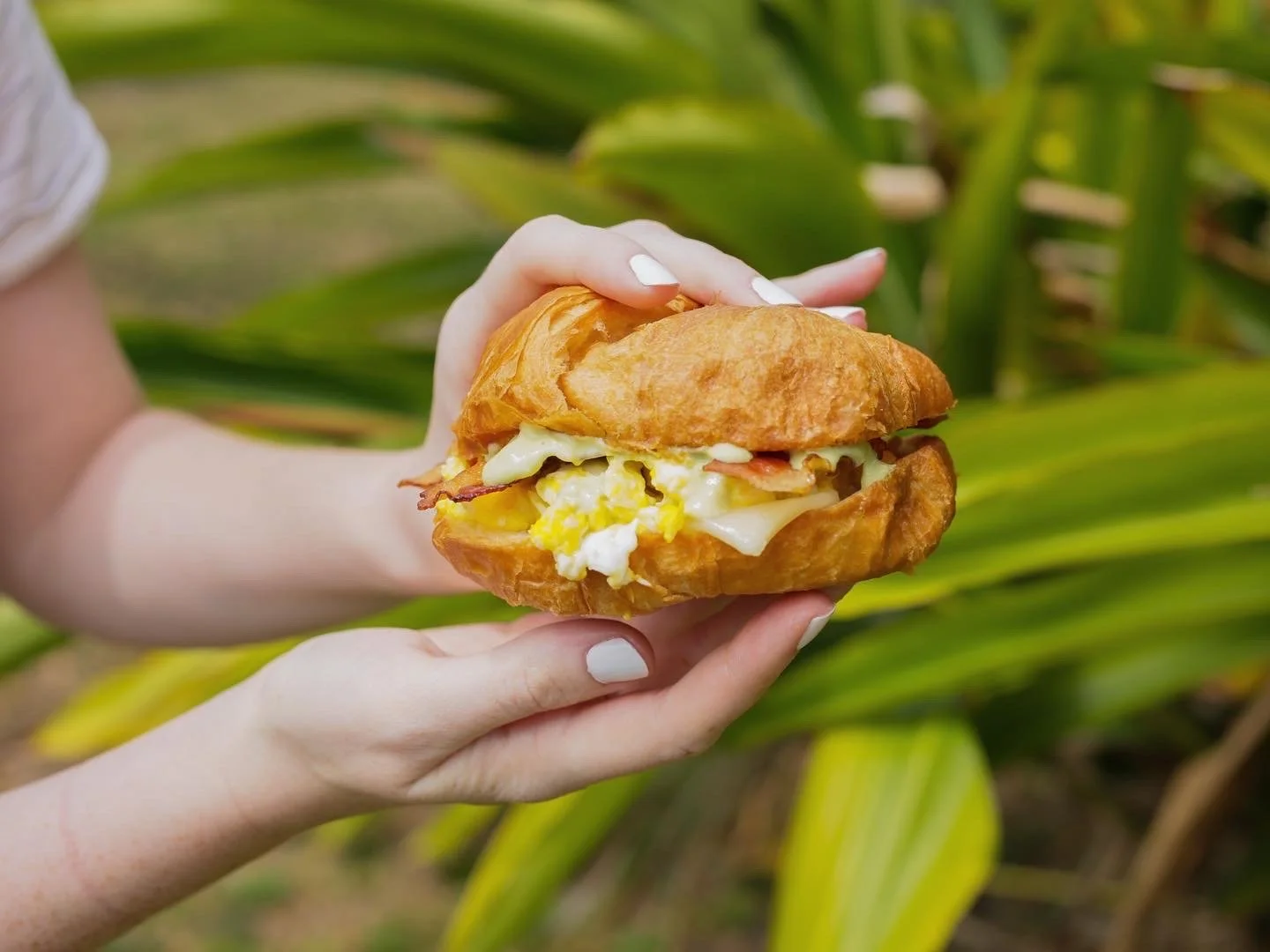 Ragga Surf Cafe | Chef-Driven Mobile Surf Cafe in Marineland, FL