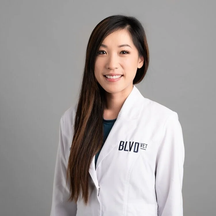 BLVD Veterinary River North, Chicago — BLVD Vet Chicago | Logan Square ...