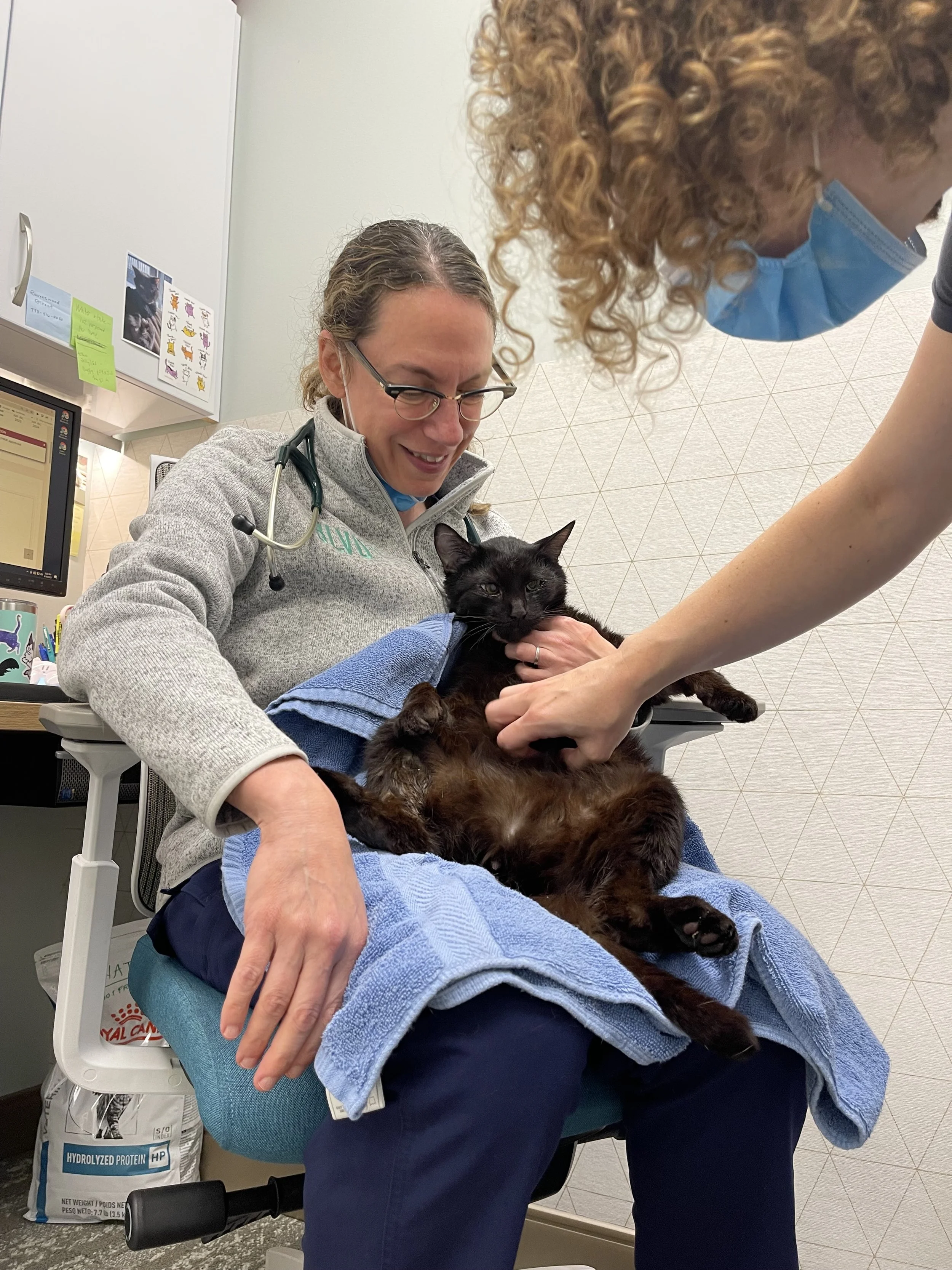 BLVD Vet Chicago