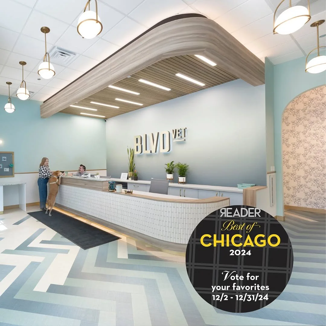 BLVD Vet Chicago