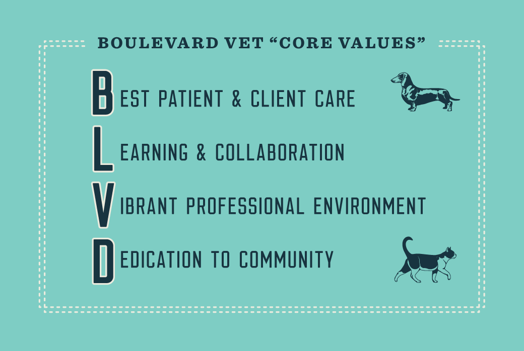 BLVD Vet Chicago