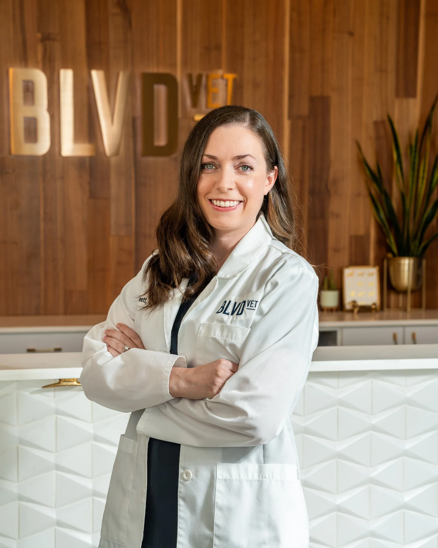 BLVD Vet Chicago