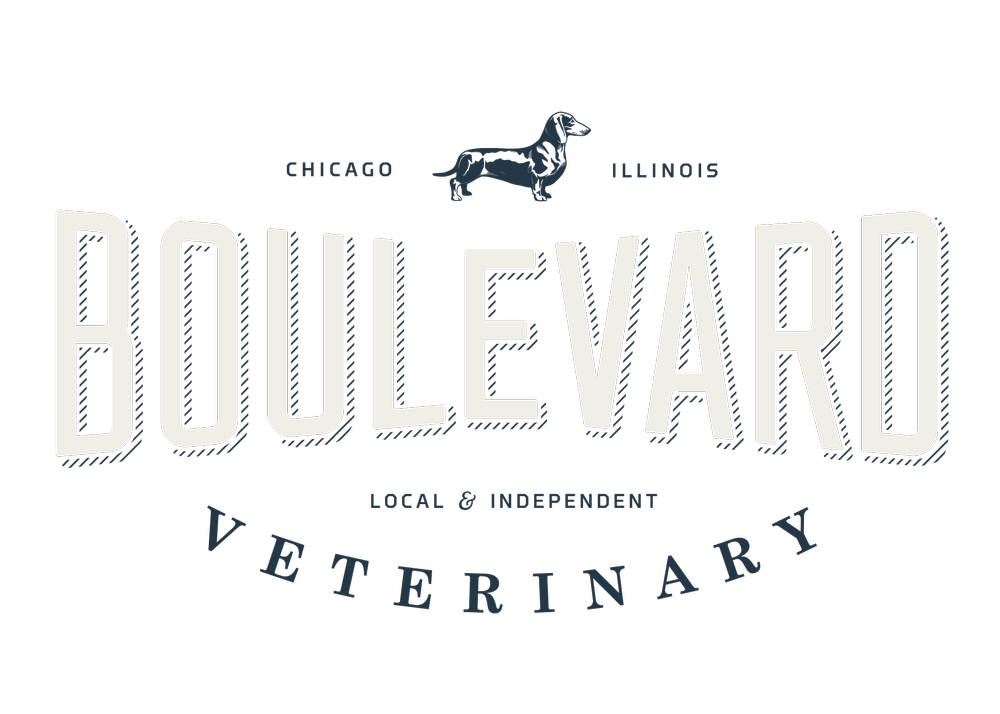BLVD Vet Chicago