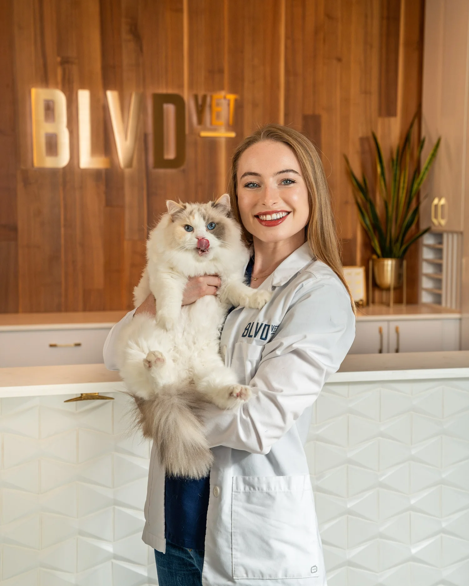 BLVD Vet Chicago