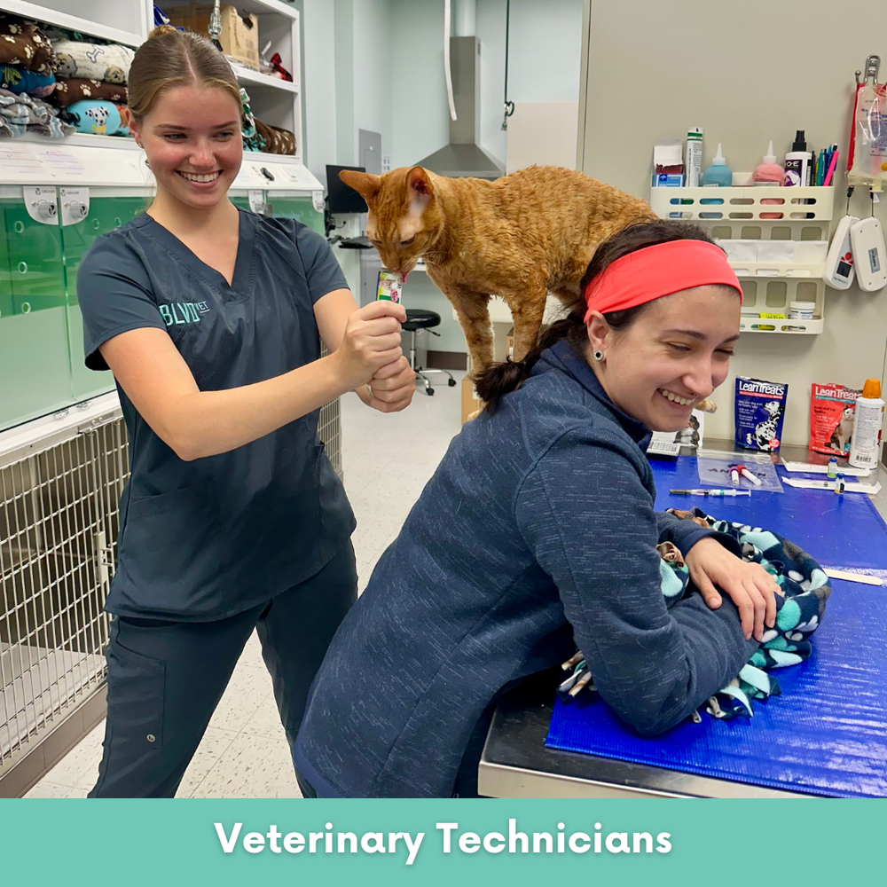 BLVD Vet Chicago