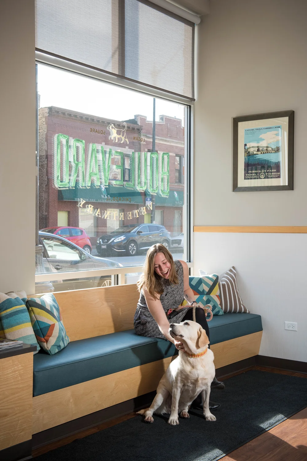 BLVD Vet Chicago