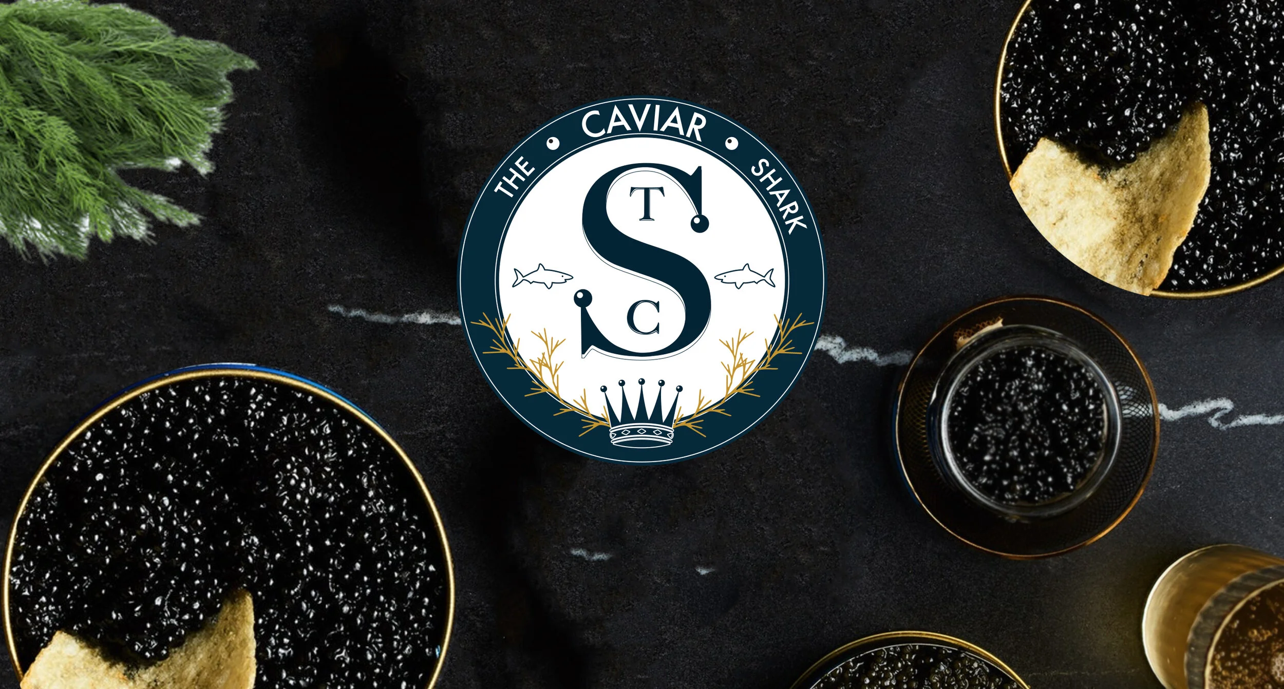 The Caviar Shark
