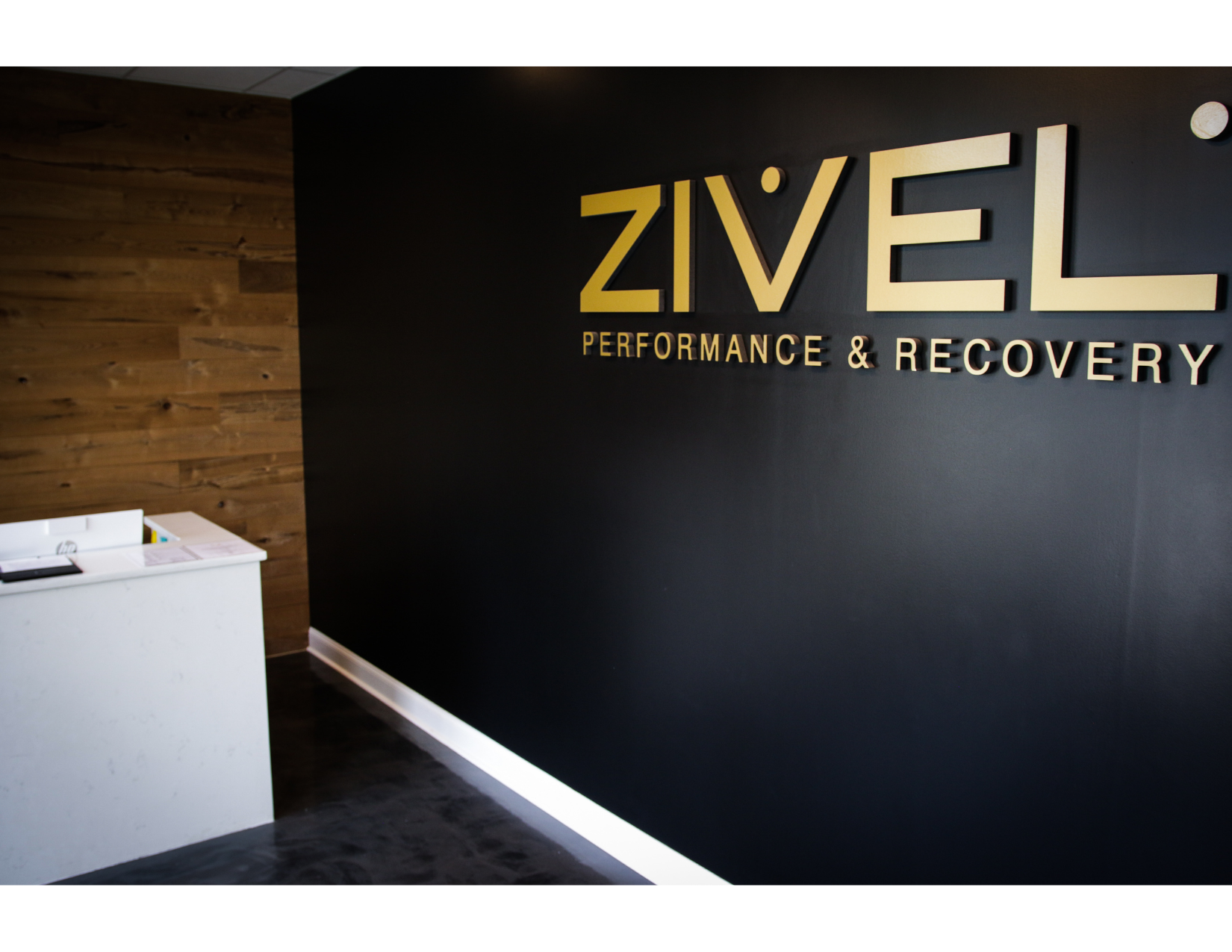 Your Zivel Dream — Zivel Franchise