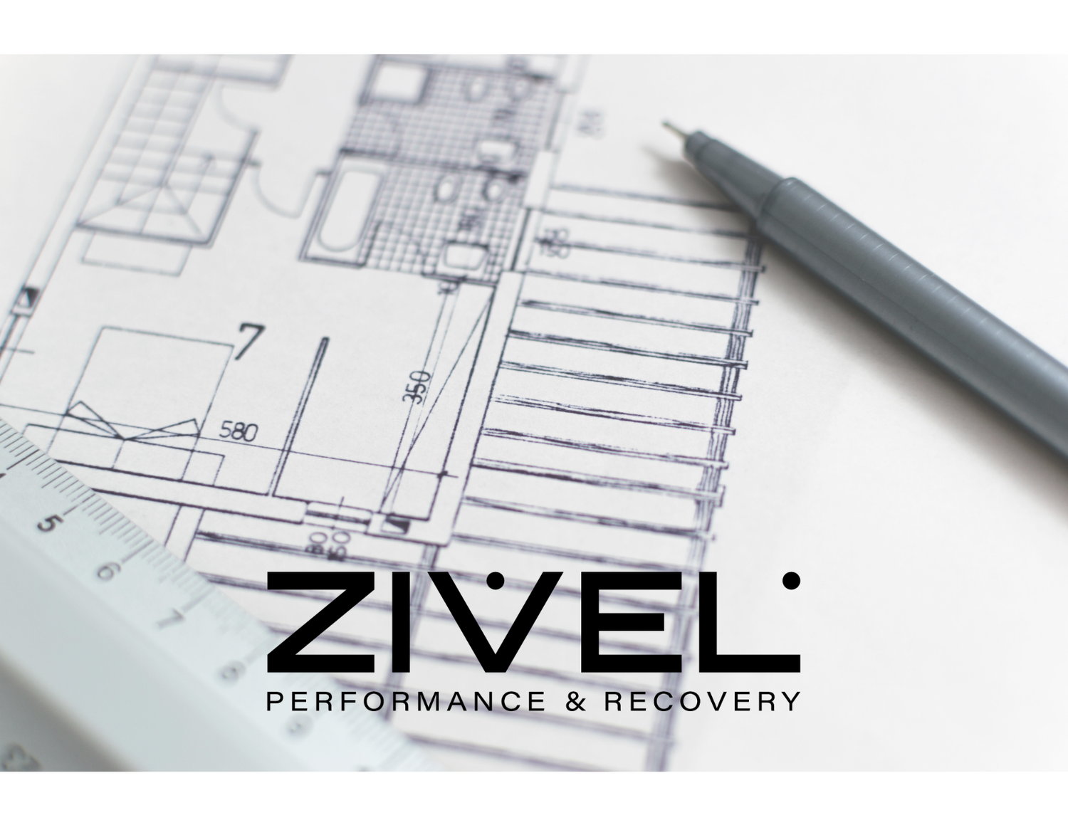 Zivel Franchise — Zivel Franchise