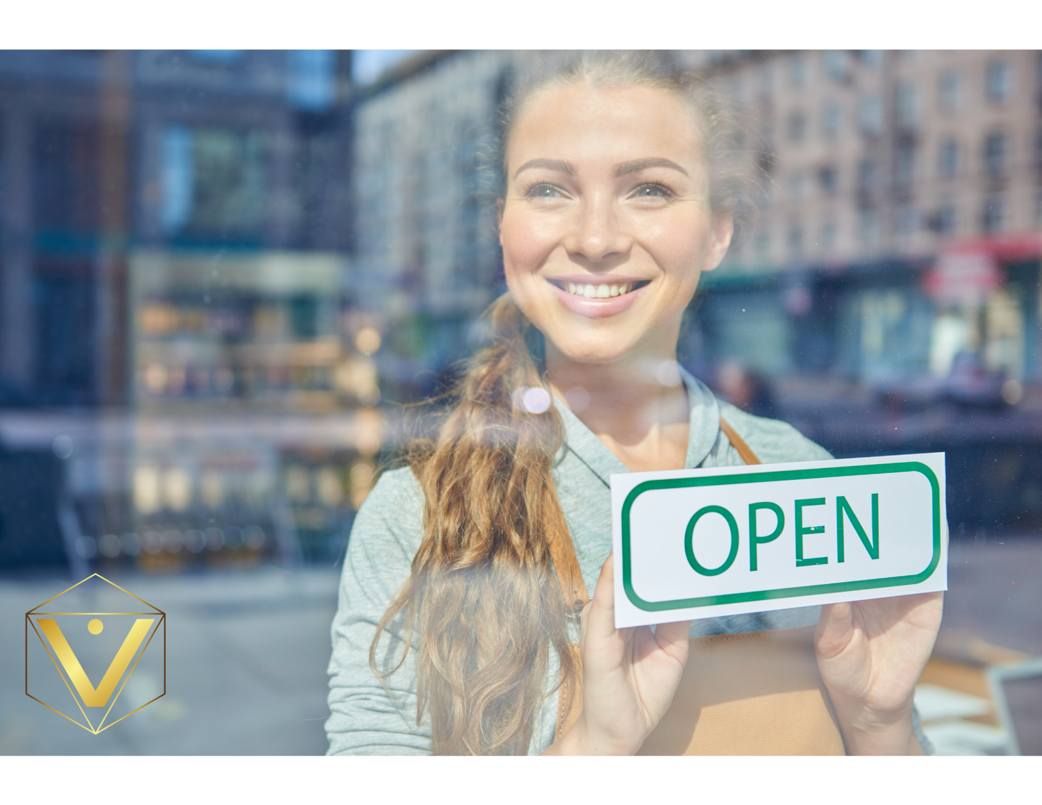 Zivel Franchise — Zivel Franchise