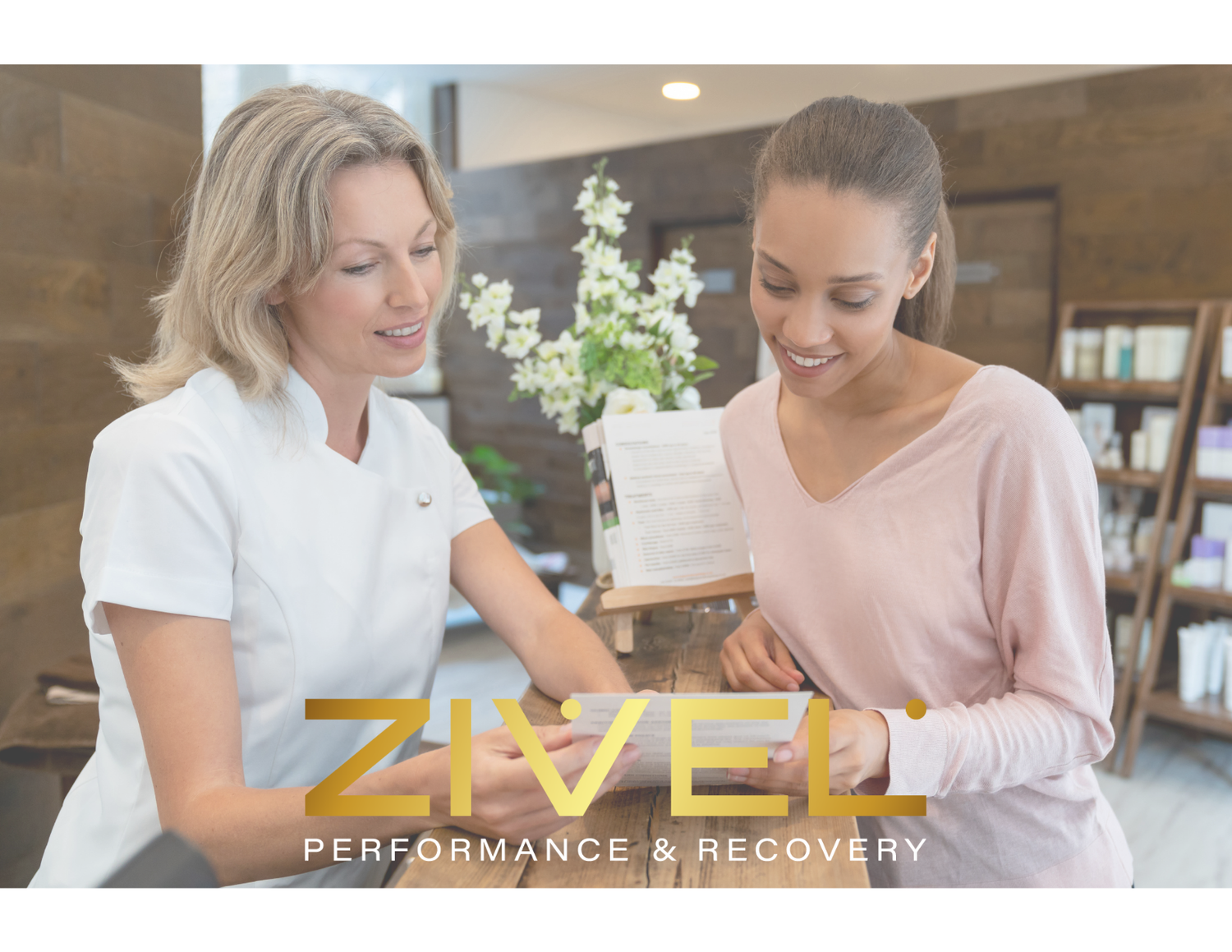 Zivel Franchise — Zivel Franchise
