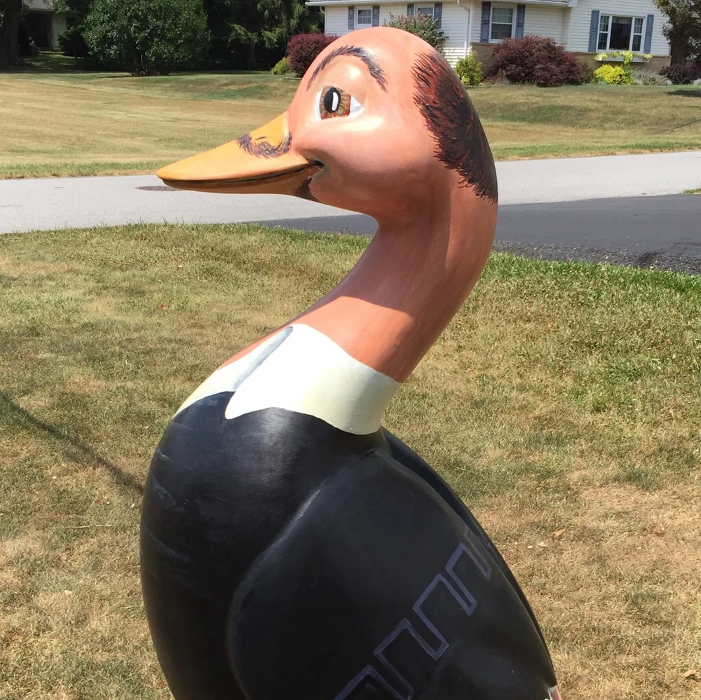 Meet the Flock — Community Partnerships (RC&D)