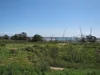 Acjachemen Tongva Land Conservancy