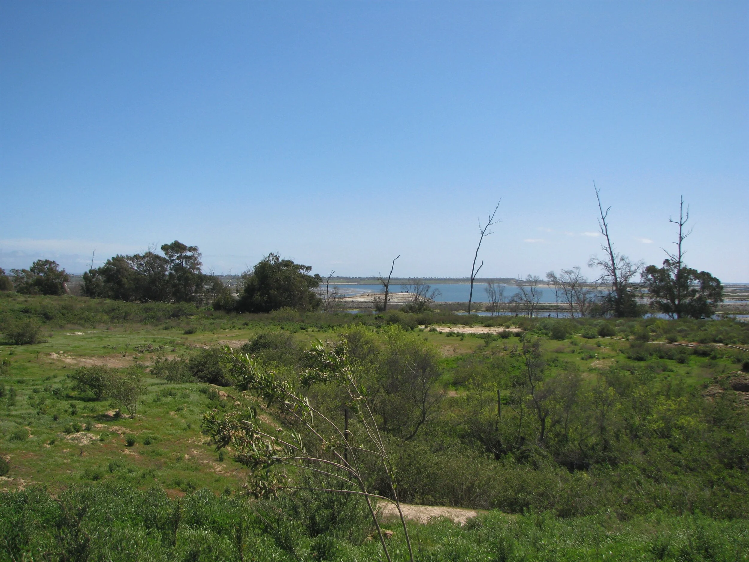 Acjachemen Tongva Land Conservancy