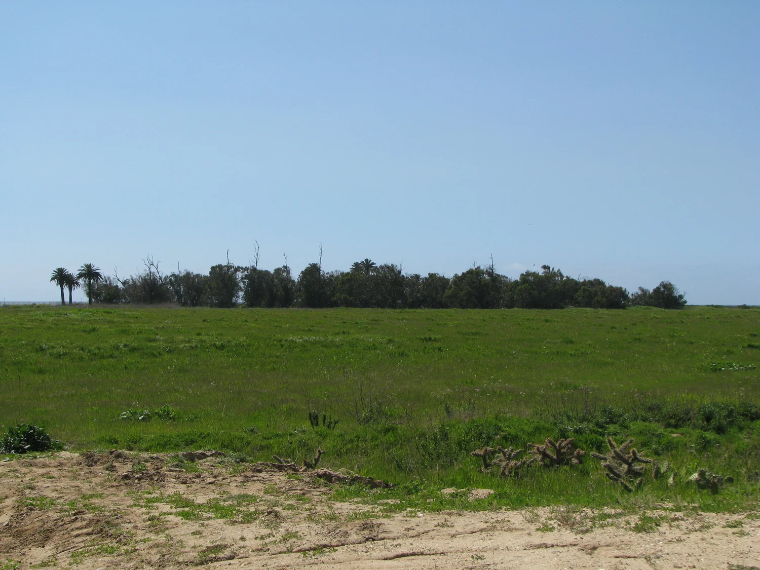 Take Action — Acjachemen Tongva Land Conservancy