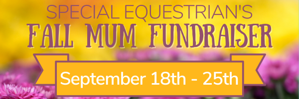 Fall Mum Fundraiser — Special Equestrians