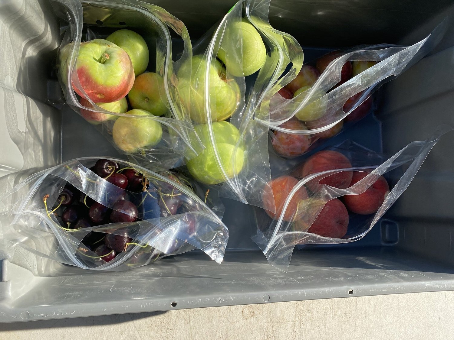 CSA — Tonnemaker Valley Farm