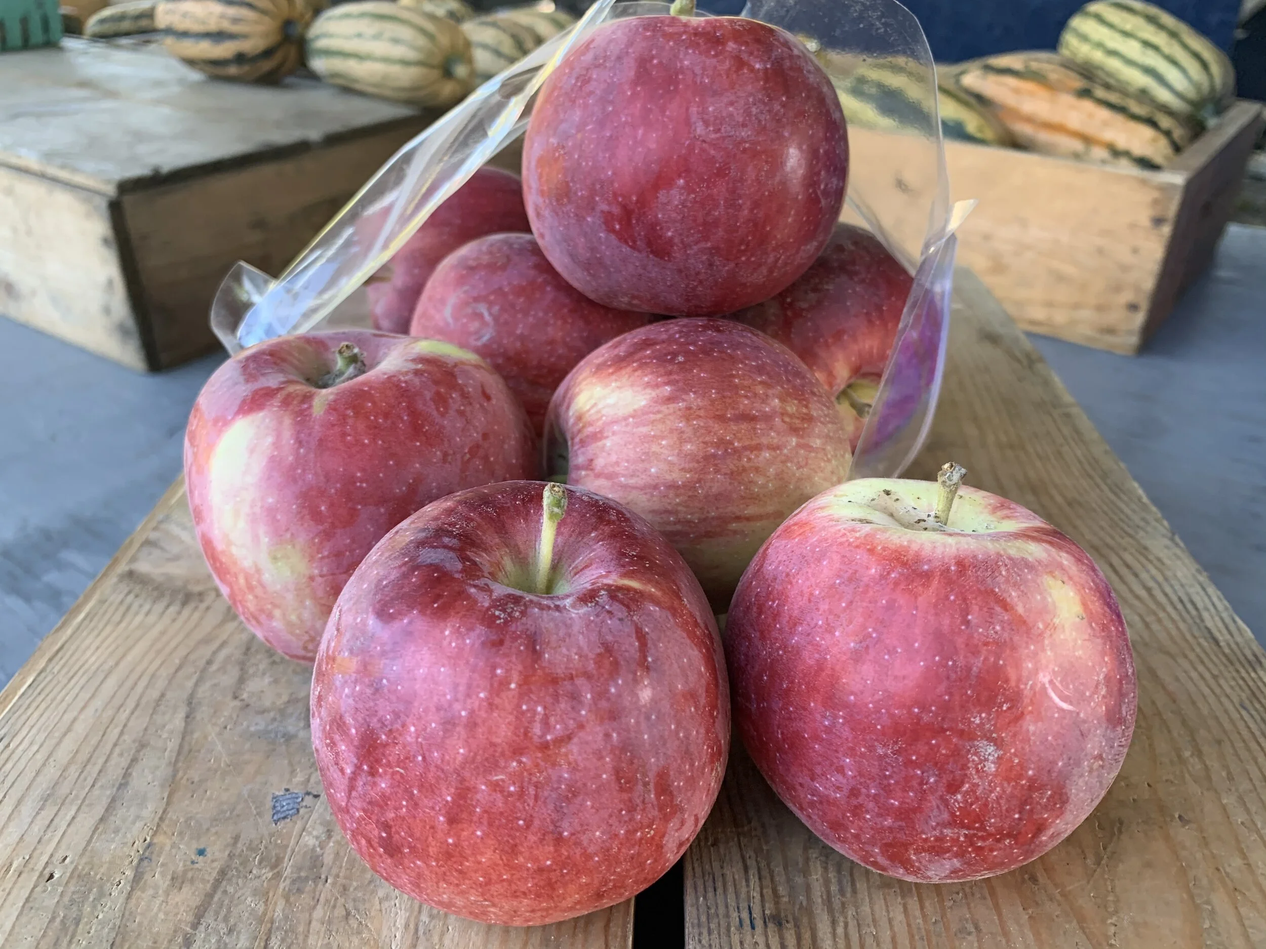 Fruits — Tonnemaker Valley Farm