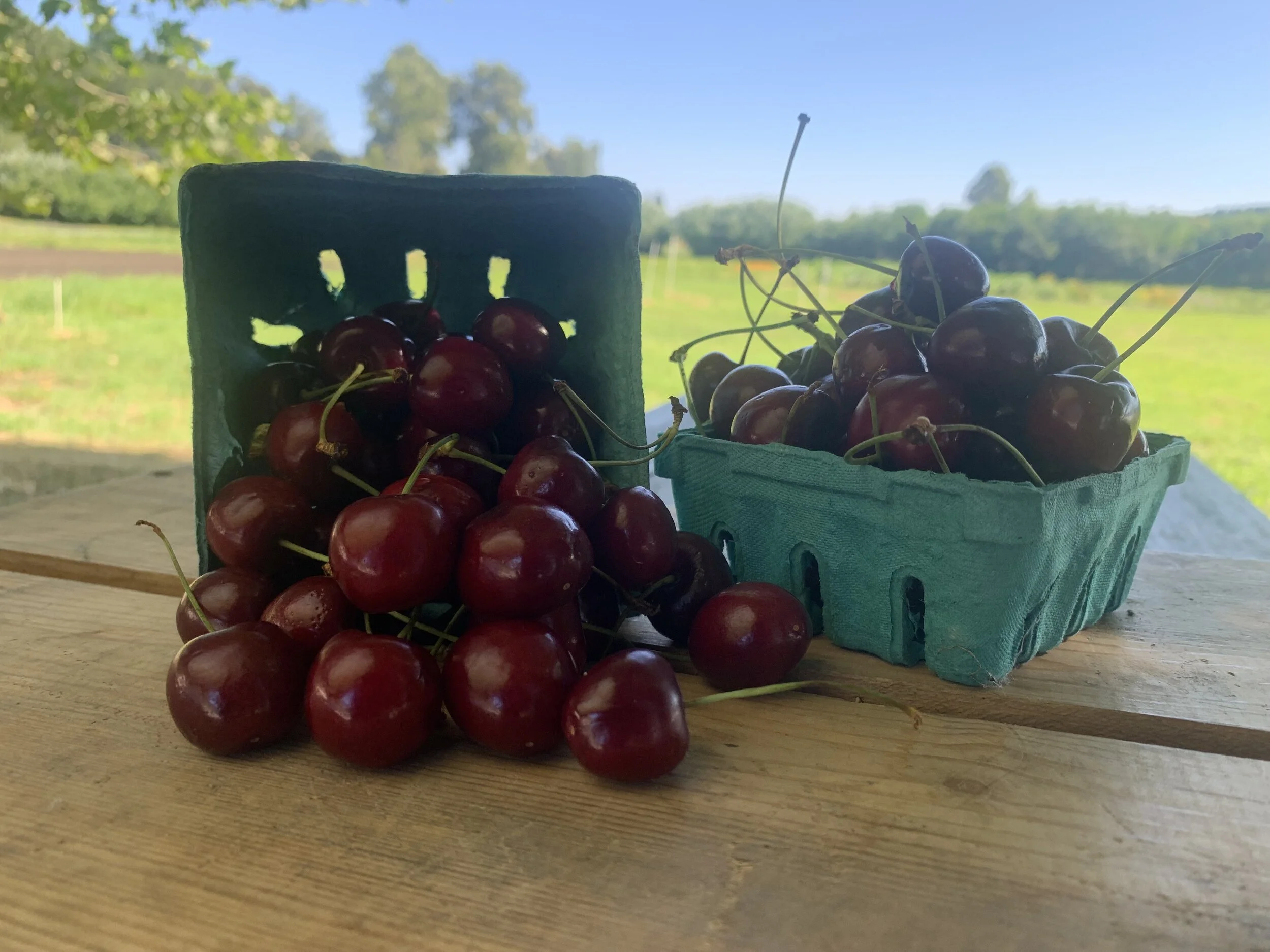 Fruits — Tonnemaker Valley Farm