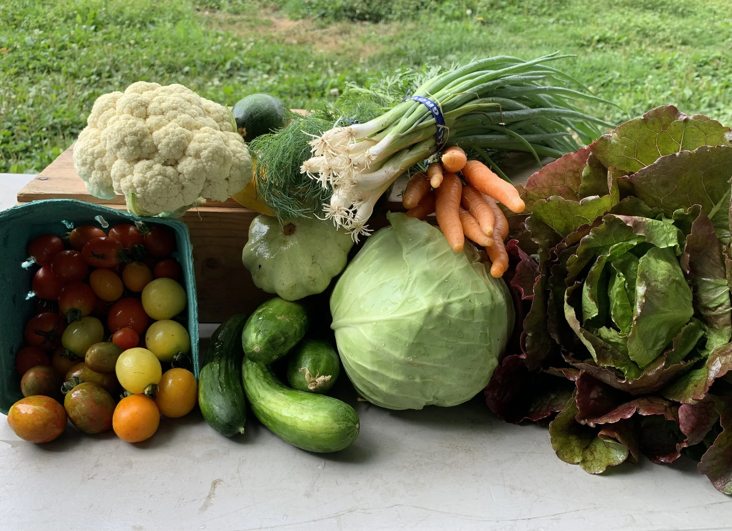 CSA — Tonnemaker Valley Farm