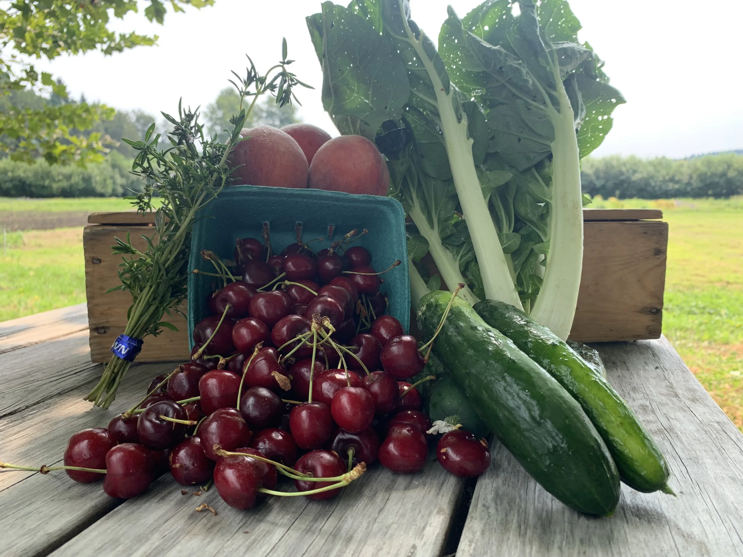 CSA — Tonnemaker Valley Farm
