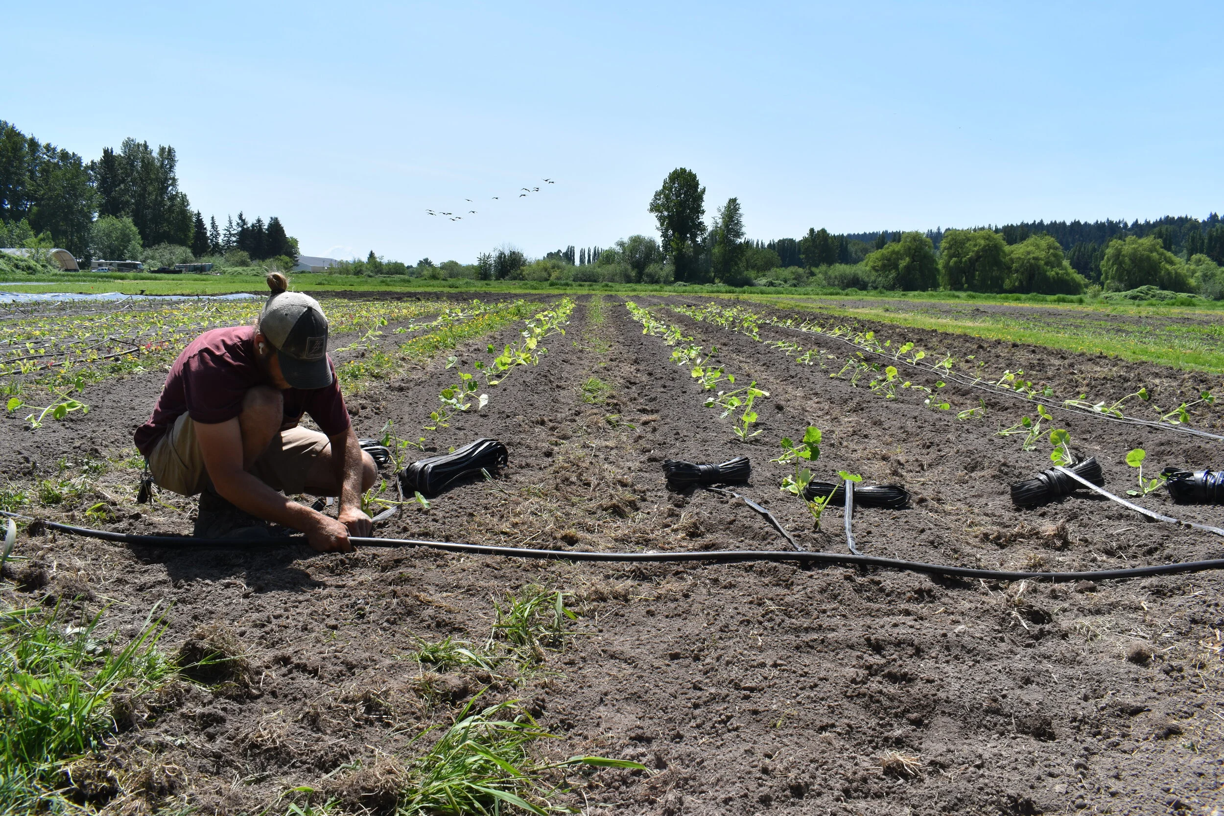 Wholesale — Tonnemaker Valley Farm