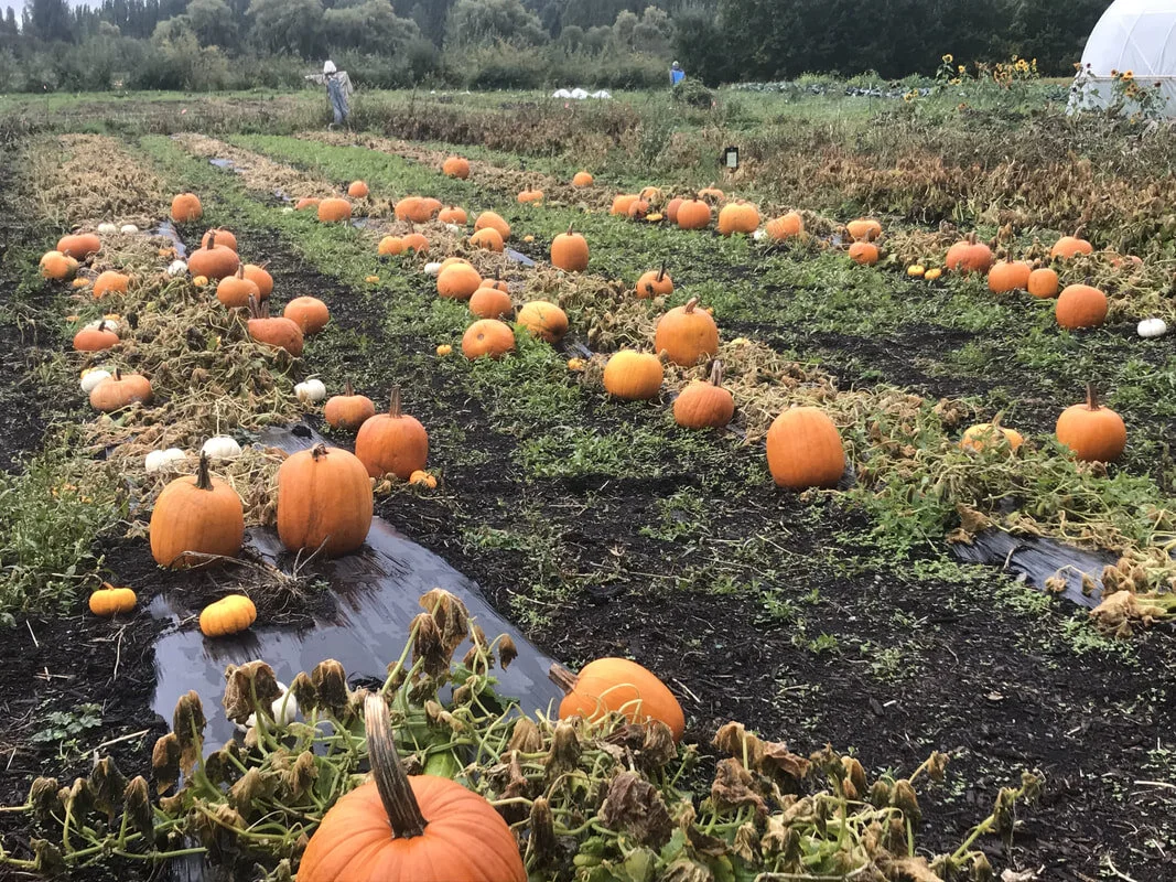 About — Tonnemaker Valley Farm