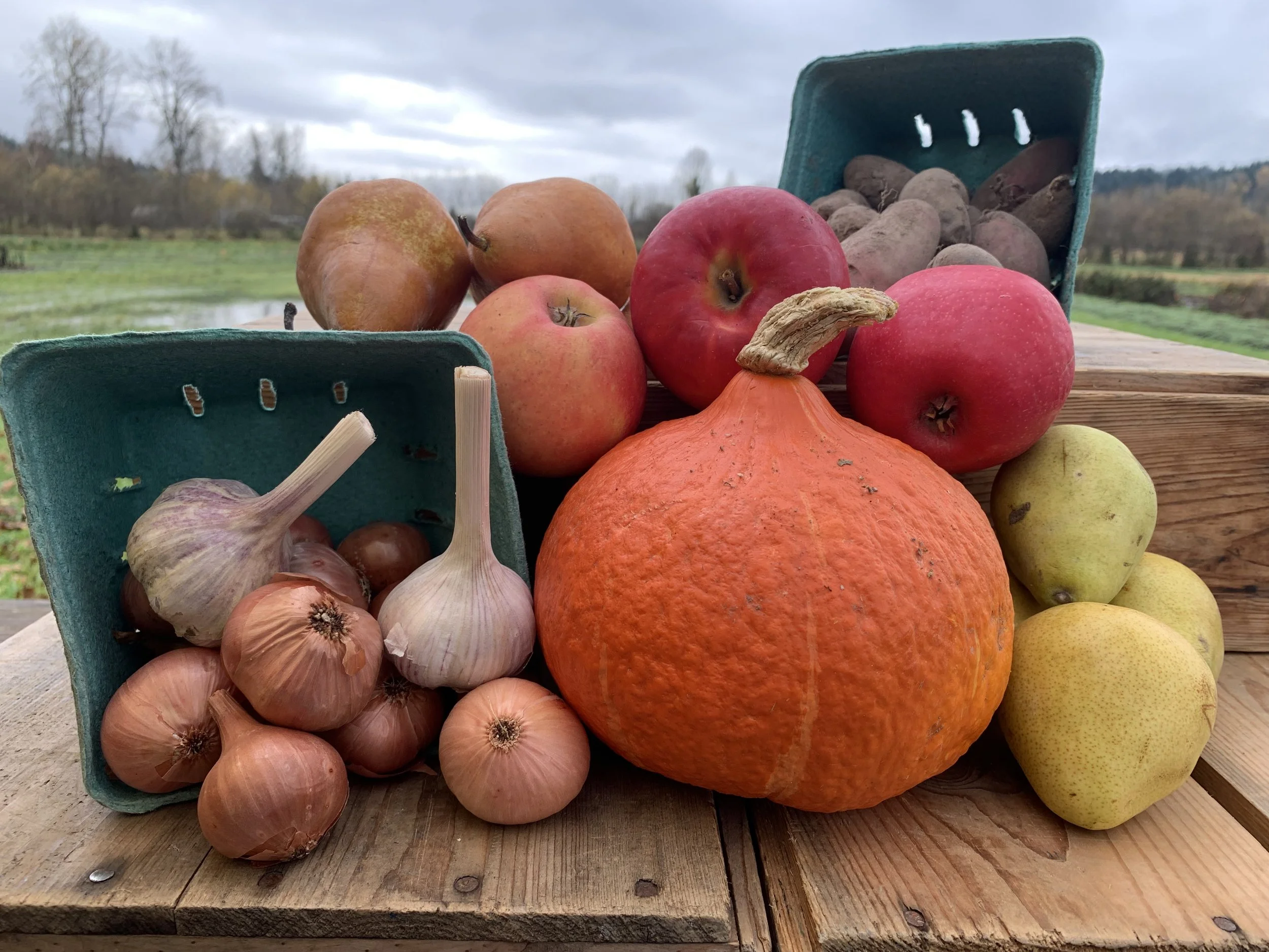CSA — Tonnemaker Valley Farm