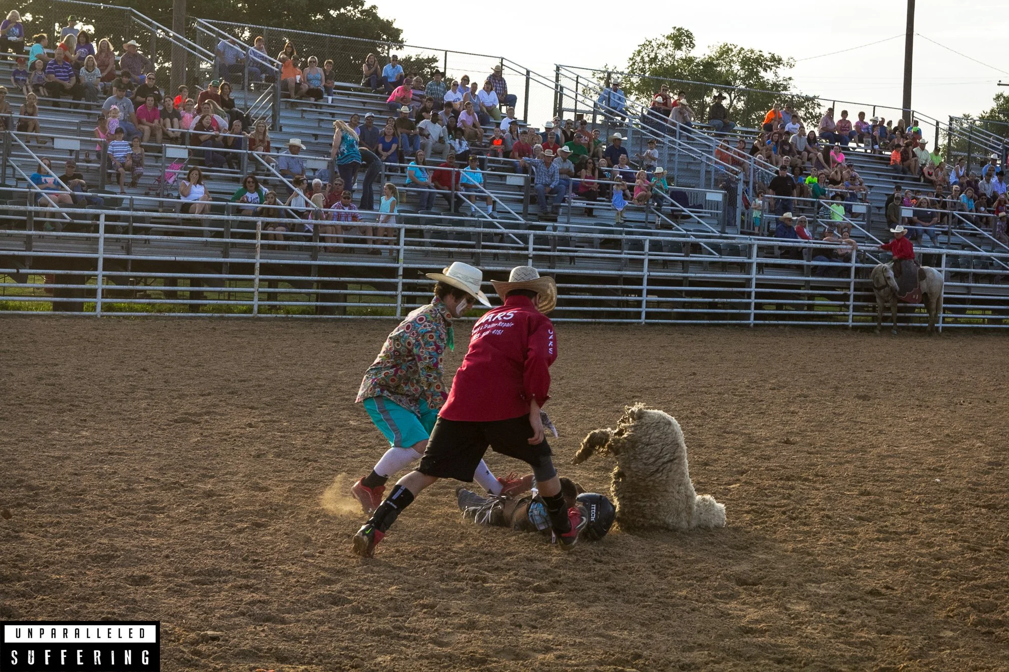 Mutton Bustin' — Unparalleled Suffering