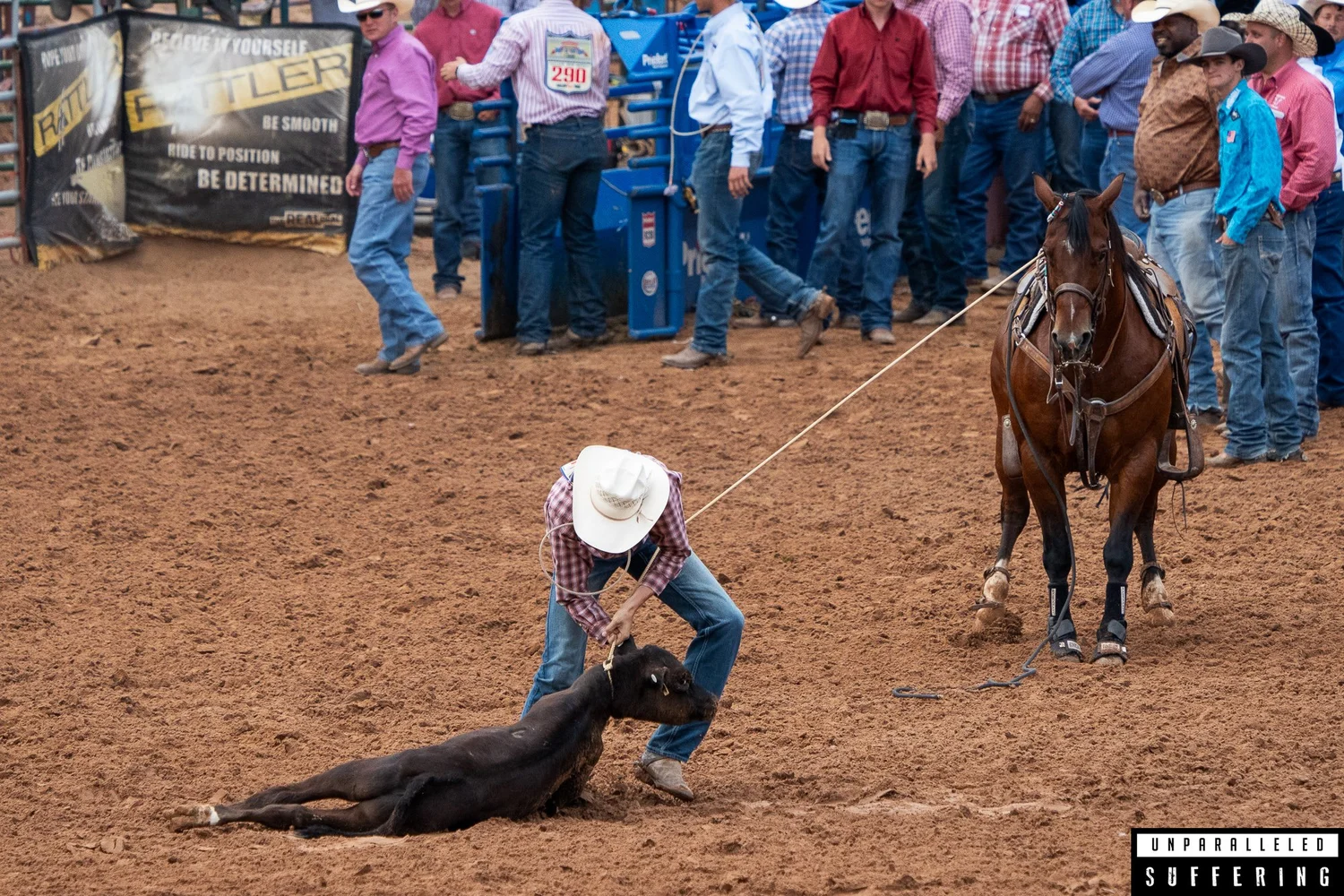 Calf Roping — Unparalleled Suffering