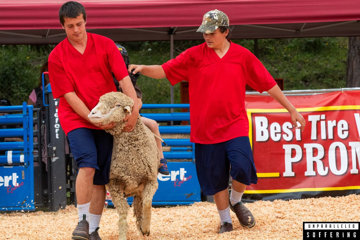 Mutton Bustin' — Unparalleled Suffering